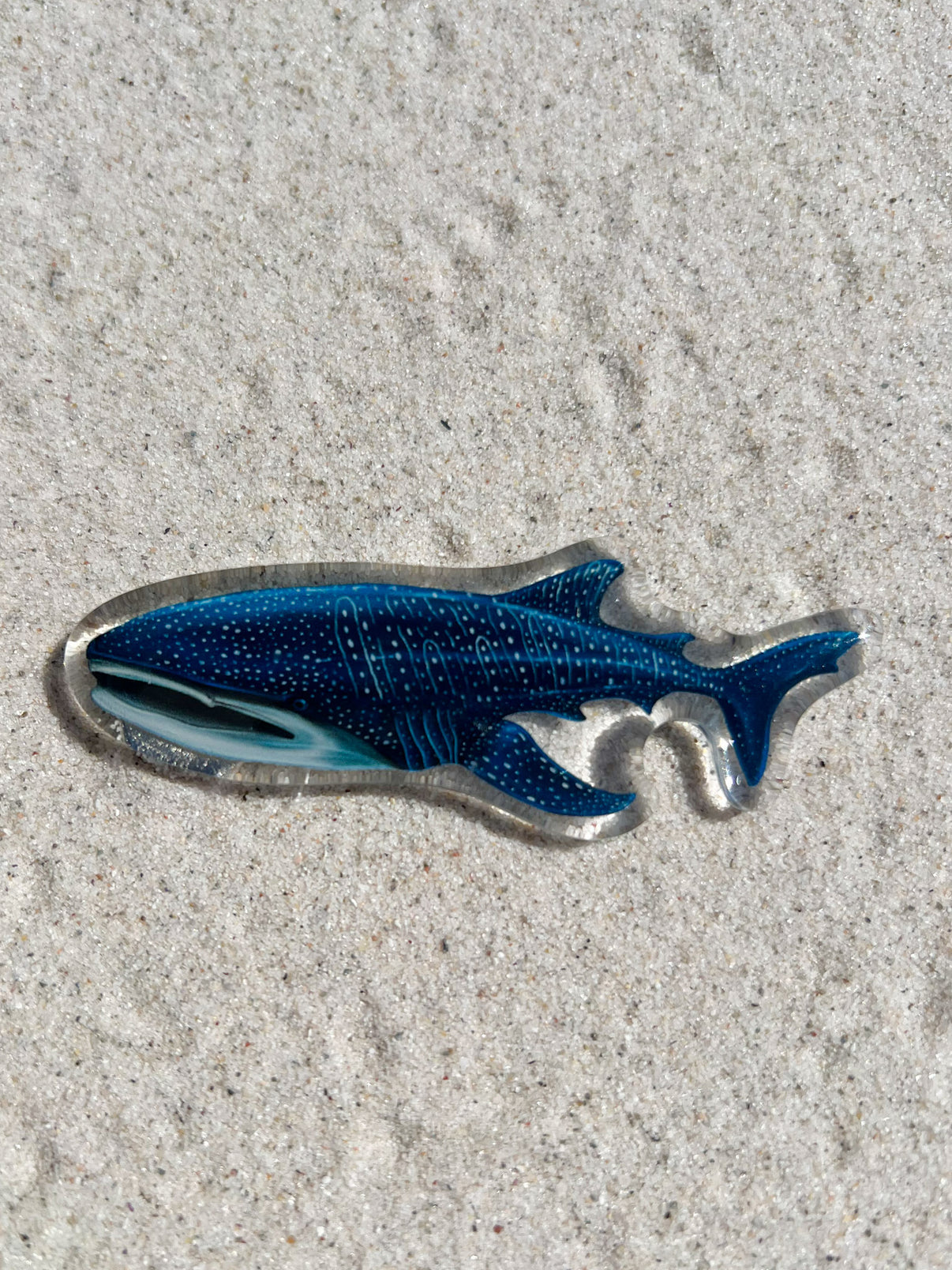 Whale Shark Fridge Magnet | Ocean Marine Art Gift | Diver Mon Art ...