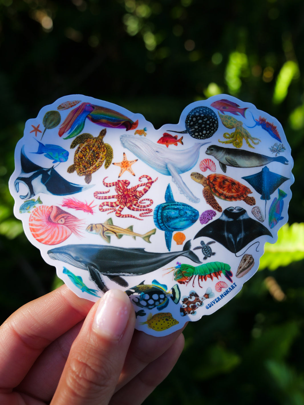 Marine Life Stickers — Waterproof Ocean Art | Diver Mon Art – DIVER MON ART